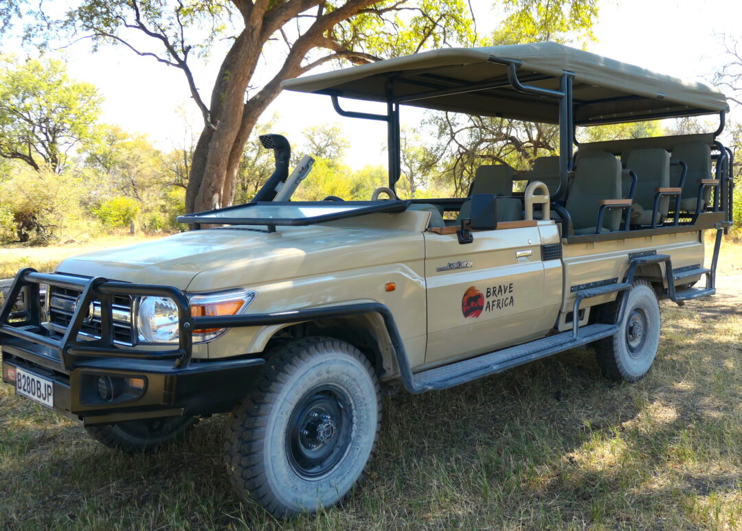 6 Features Your Safari Car Must Have on Your African Adventures - Brave ...