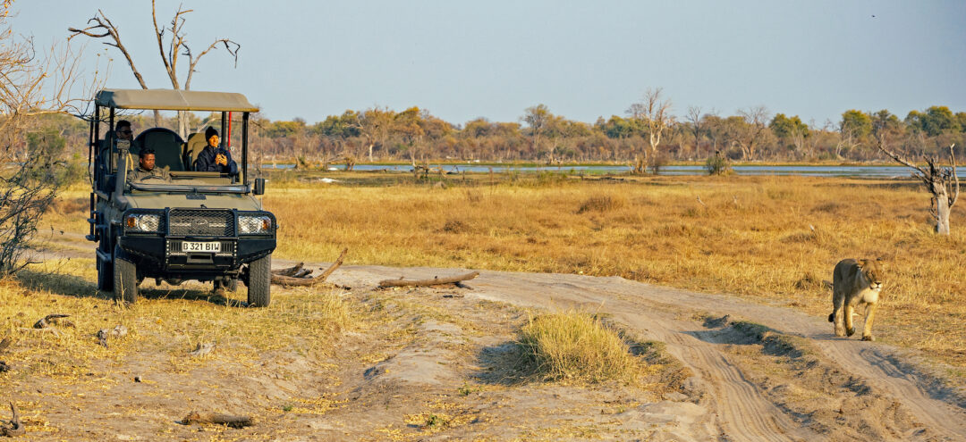 The Importance of Safari Guiding: 9 Reasons Bush Guides are Essential ...